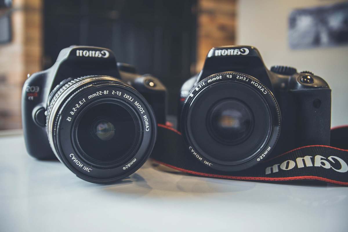 Free Side-by-Side Grey Canon DSLR Cameras On A Table Image